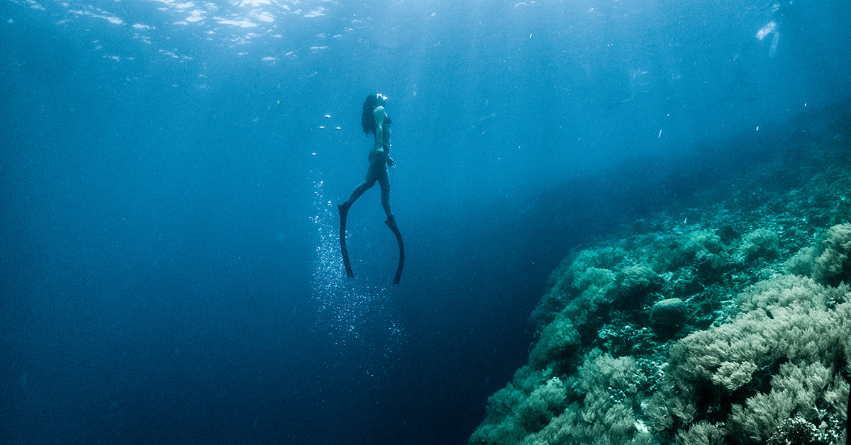 邦勞島自由潛水｜Napling 沙丁魚風暴怎麼去、門票多少錢 – 陳子民的海上生活